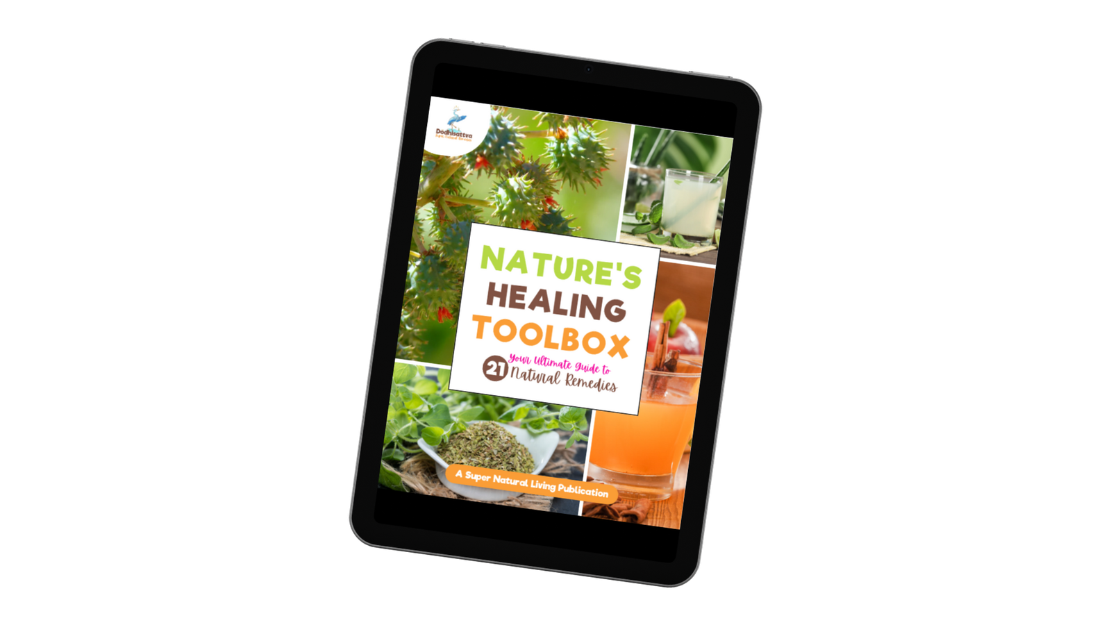 Nature's Healing Toolbox Ebook | Dodhisattva's Sacred Backyard